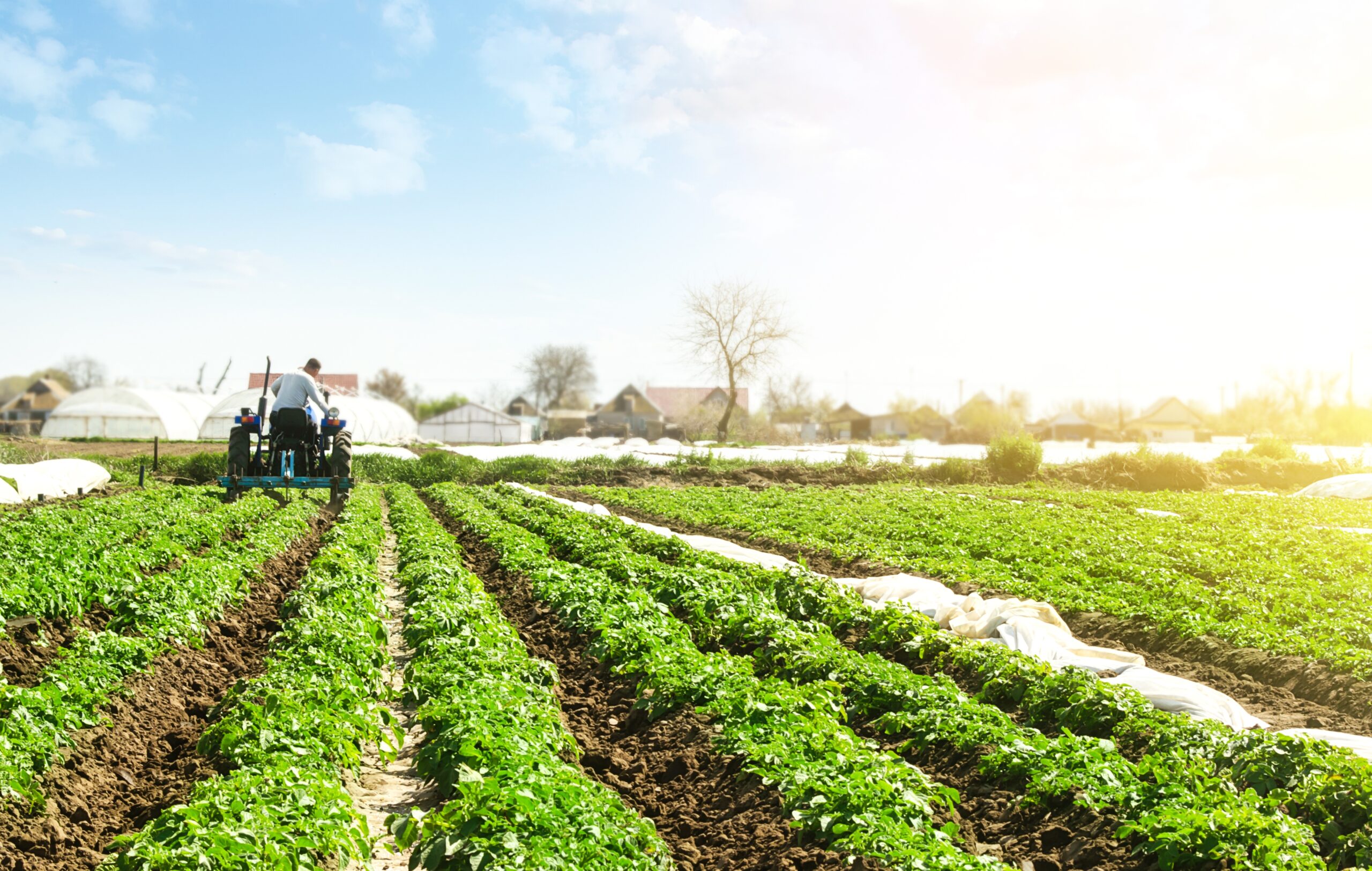 Organic Growers, Start Here - Horticultural Alliance
